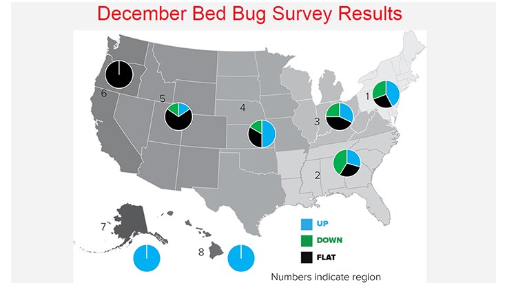 BedBug Central Survey Shows December Slowdown - Pest Control Technology
