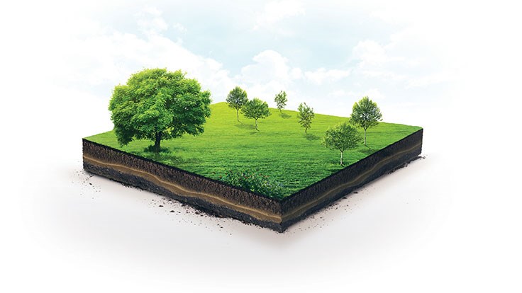 How soil analysis keeps growing conditions ideal - Lawn & Landscape