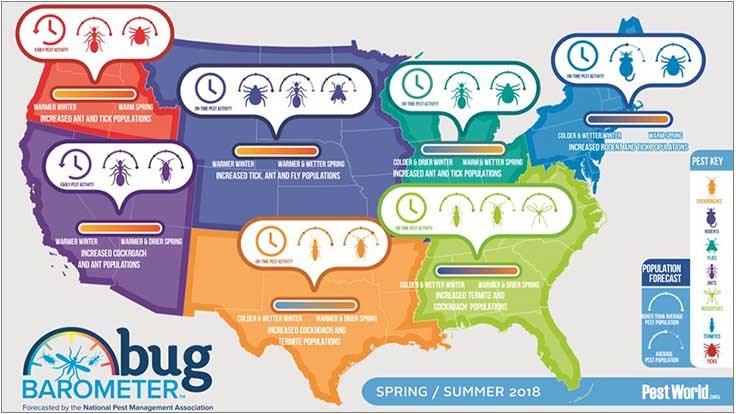 Moisture From La Niña Creates Significant Spring Pest Pressure, NPMA ...