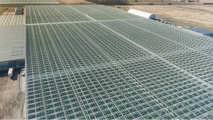 NatureFresh to add supplemental lighting as part of Leamington ...