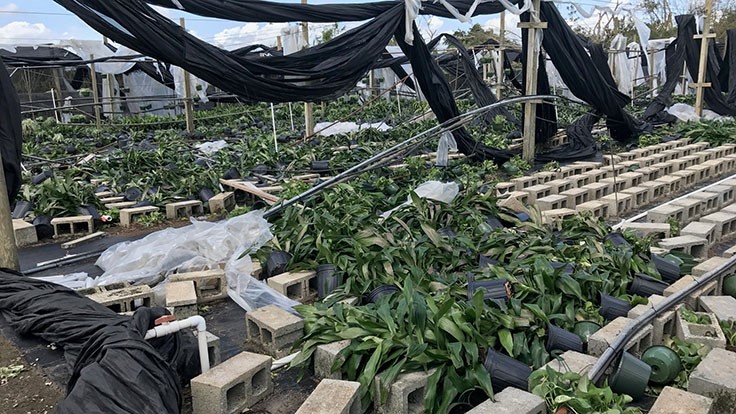 USDA to provide disaster relief through Wildfire and Hurricane ...