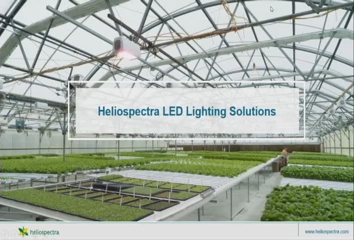 Leafy Greens & Herbs Virtual Conference: Sponsored Presentation ...