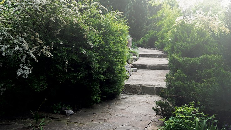 5 tips for beautiful walkways - Lawn & Landscape