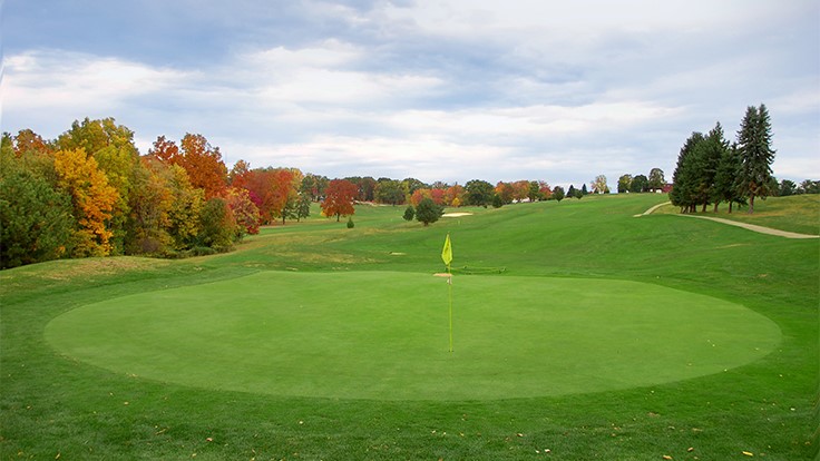 Laid Back Fall - Golf Course Industry