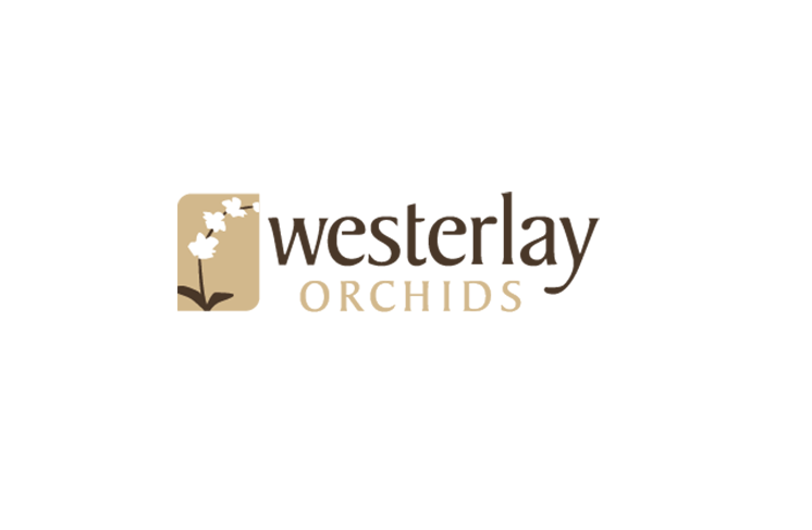 Westerlay Orchids adds 39 acres of production space - Greenhouse Management