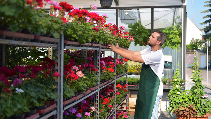 U.S. economy added 304,000 jobs in January - Greenhouse Management