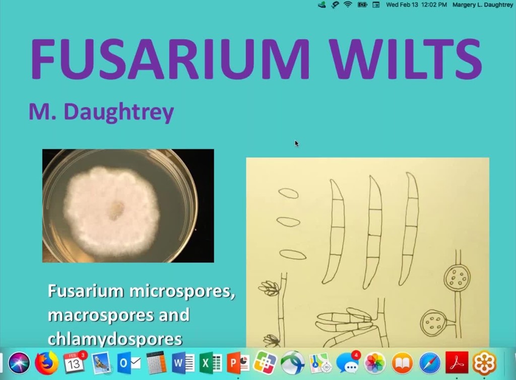 Plant Health Virtual Conference: Fusarium Wilts of Flower Crops ...