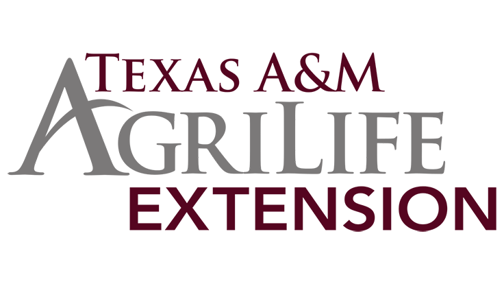 AgriLife Extension to present monthly lunchtime horticulture seminars ...