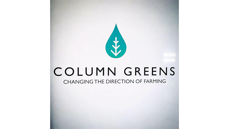Column Greens partners with local school districts - Produce Grower