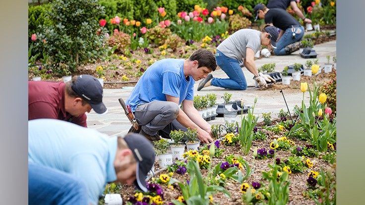 Reynolda Gardens partners with Spring Meadow Nursery in response to ...