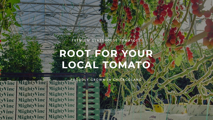 MightyVine to double production space to 30 acres - Produce Grower