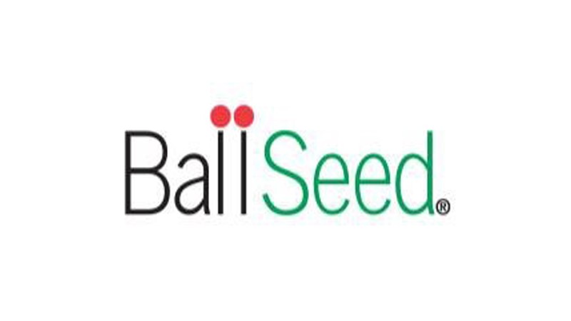 Ball Seed launches online resource for Ball Mum growers - Greenhouse ...