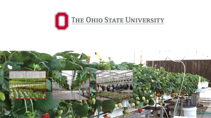 Ohio State schedules greenhouse workshop for 2020 - Produce Grower