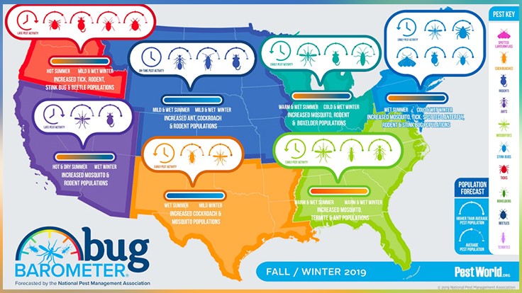 Expect High Pest Pressure This Fall and Winter, NPMA Reports - Pest ...