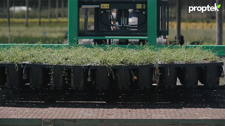 Centralized labor: Plants to the People - Nursery Management