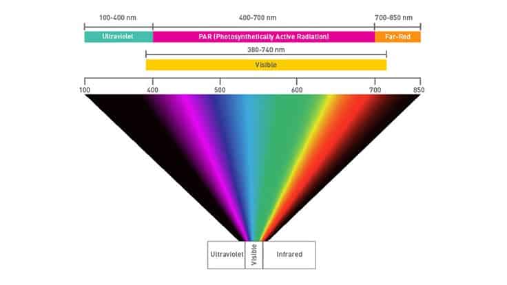 LumiGrow releases guide to understanding different light spectrums ...