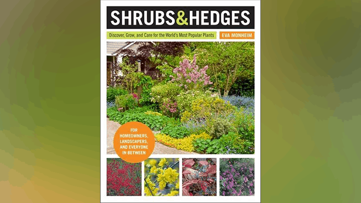 "Shrubs & Hedges" book hits shelves on March 3rd - Nursery Management