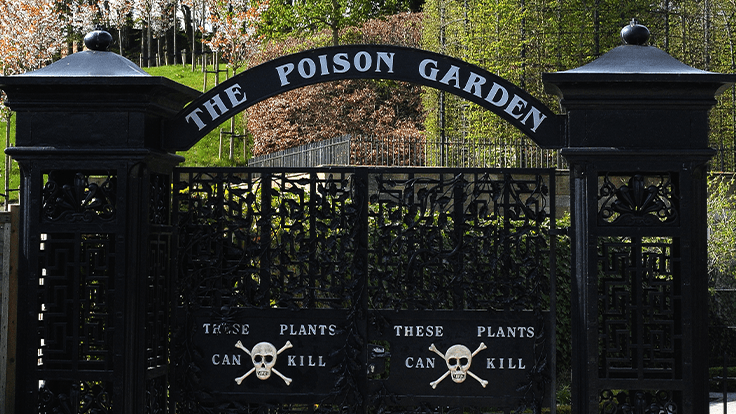 Do you have what it takes to manage the world’s deadliest garden ...