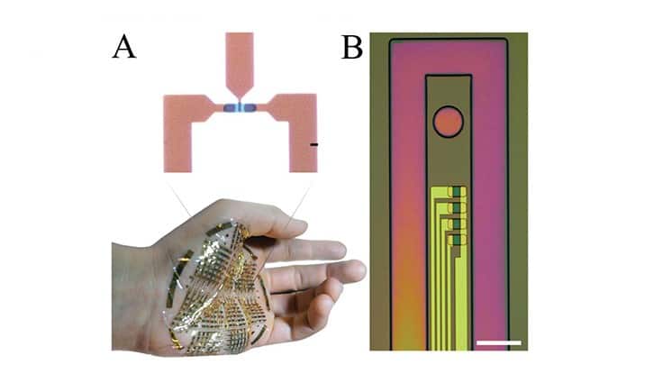 Closer to flexible, powerful, fast bioelectronic devices - Today's ...