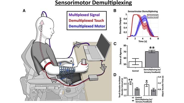 Sense of touch returned to those with spinal cord injury - Today's ...