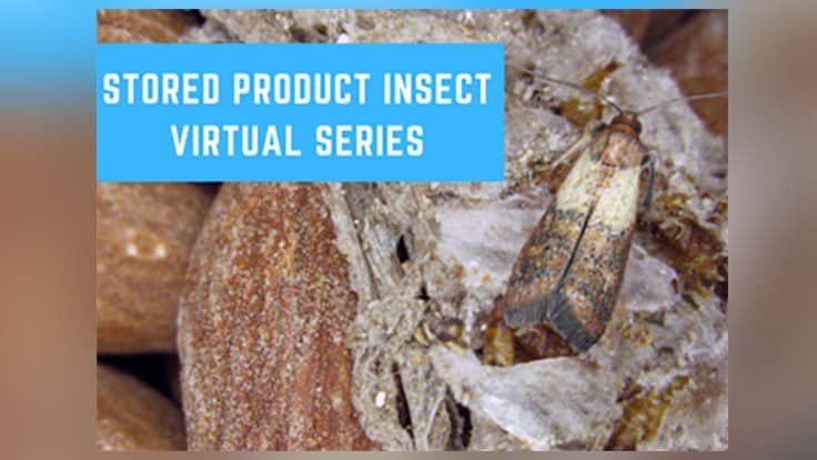 Insects Limited Launches Virtual Education Series - Pest Control Technology
