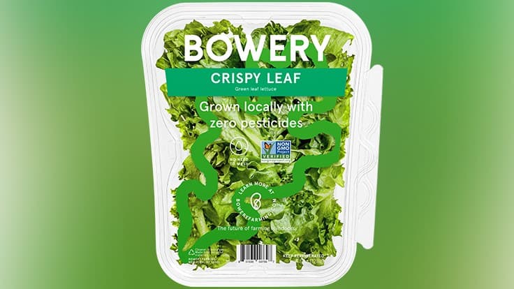 Bowery Farming debuts new lettuce variety - Produce Grower