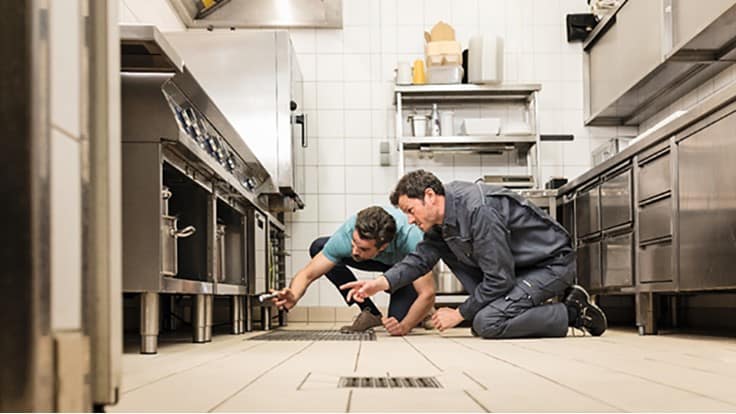 Applying Gel Baits Pest Control Technology