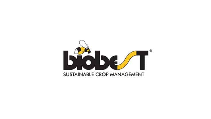 Biobest's BLUESTIM now available in Canada - Greenhouse Management