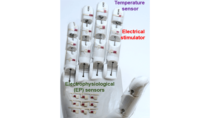 Medical robotic hand, rubbery semiconductor - Today's Medical Developments