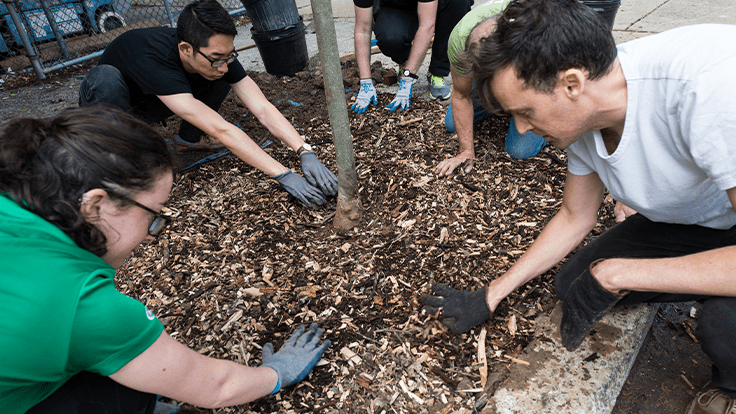 PHS hosts volunteer tree plantings in Philadelphia region - Nursery ...