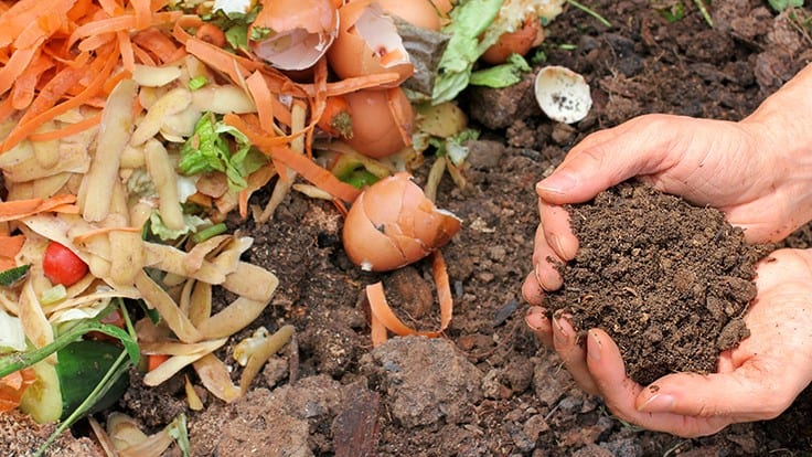 Study shows benefits of compost used as landfill cover - Waste Today