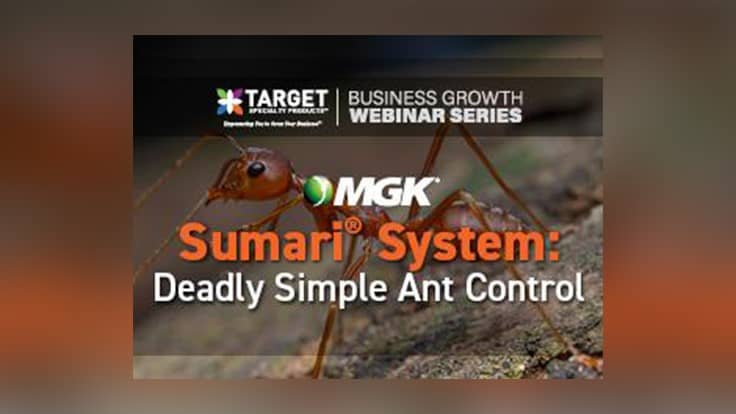 Next Target Business Growth Webinars Will Cover Ant Control - Pest ...