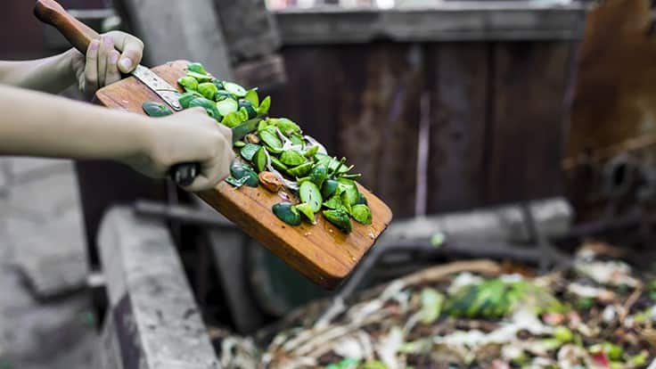 7 areas for taking action to reduce food waste - Waste Today