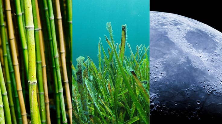 Bio-composites could transform aircraft design - Aerospace ...