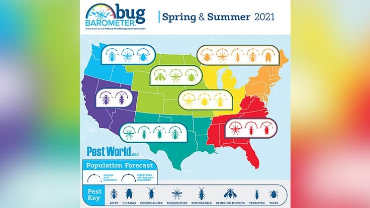 NPMA Bug Barometer: Wet Weather Spurs Early Pest Activity - Pest ...