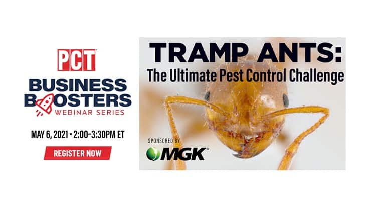 Upcoming Webinar: Tramp Ants: The Ultimate Pest Control Challenge ...