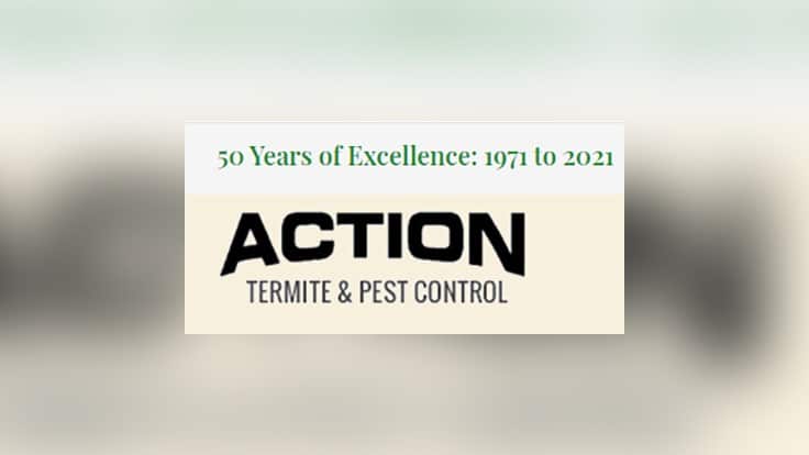 Action Termite & Pest (NJ) Celebrating 50 Years in Business - Pest ...