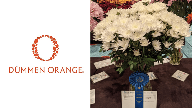 Dümmen Orange awarded 13 Outstanding Varieties ribbons - Greenhouse ...