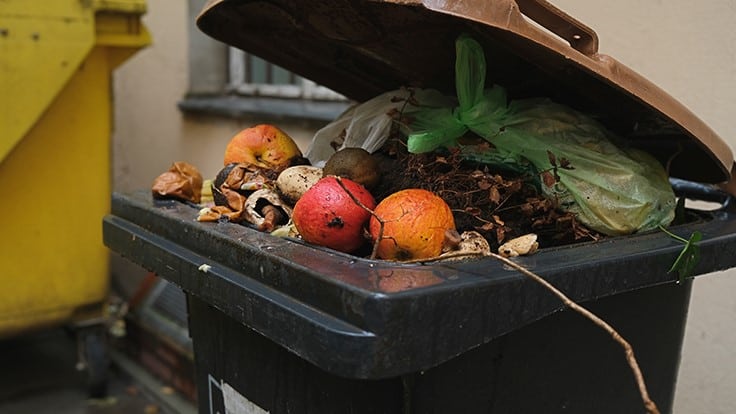 New York town launches food waste recycling program - Waste Today