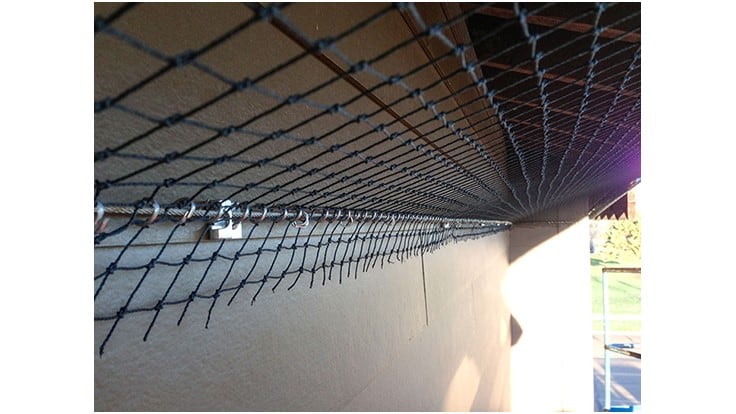 Bird-X Bird Control Training March Dates Announced - Pest Control ...