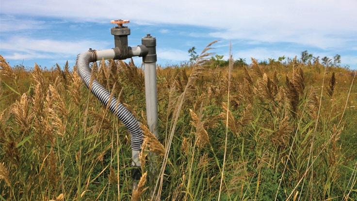 Republic, Archaea launch joint venture to develop RNG projects across ...