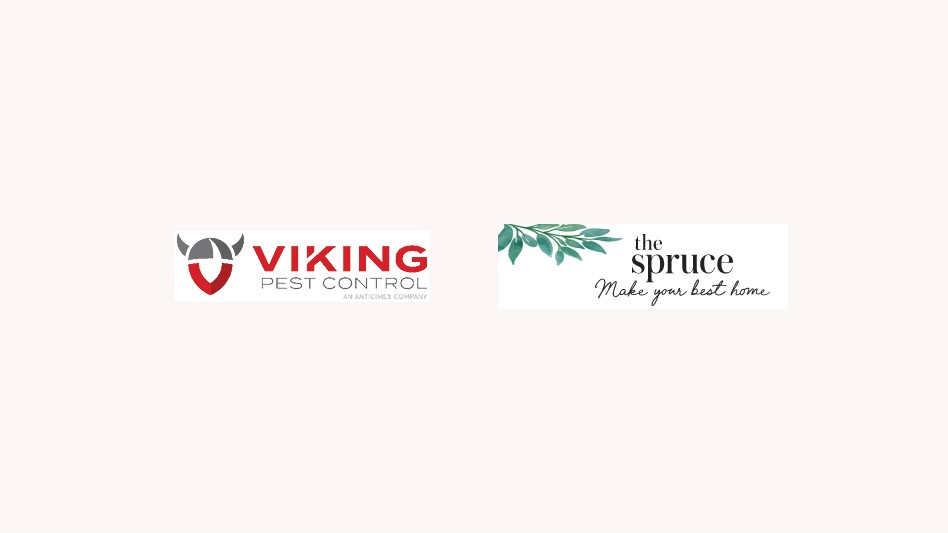 Viking Pest Named Best Pest Control Company For Sustainability - Pest ...