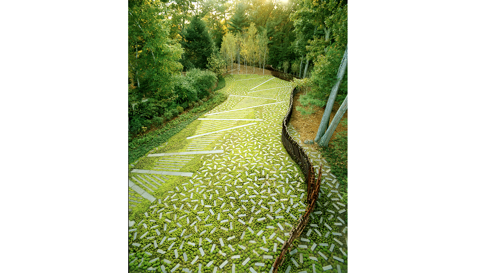 Mikyoung Kim Design wins ASLA top honor - Lawn & Landscape