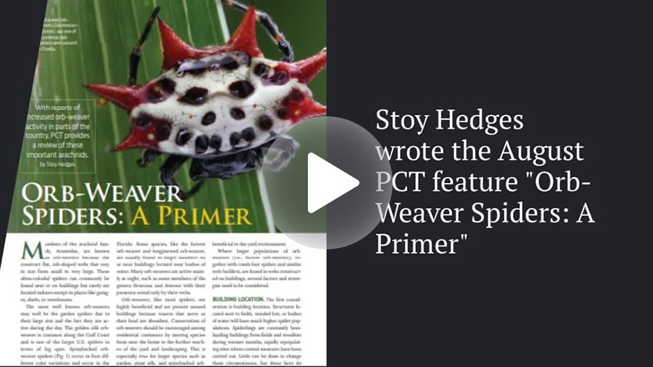 Photos: Orb-Weaver Spiders from Stoy Hedges - Pest Control Technology