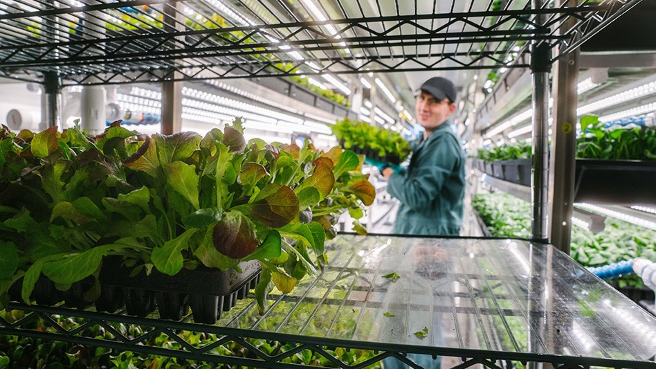 Square Roots products to be sold at Meijer stores - Produce Grower