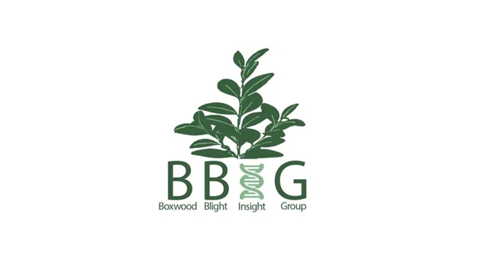 Free boxwood webinar: calamities of Georgia’s boxwood forests - Nursery ...