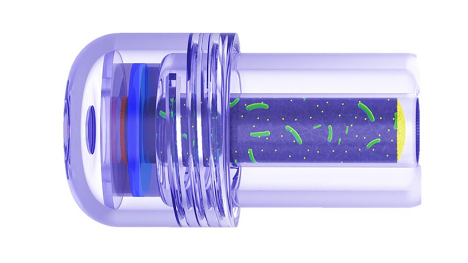 Ingestible biobatteries for new view of digestive system - Today's ...