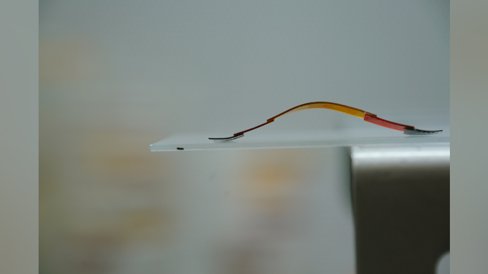 Tiny climbing robot inspired by geckos, inchworms - Today's Medical ...