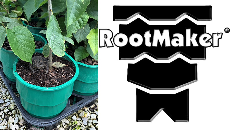 RootMaker launches Green container - Nursery Management