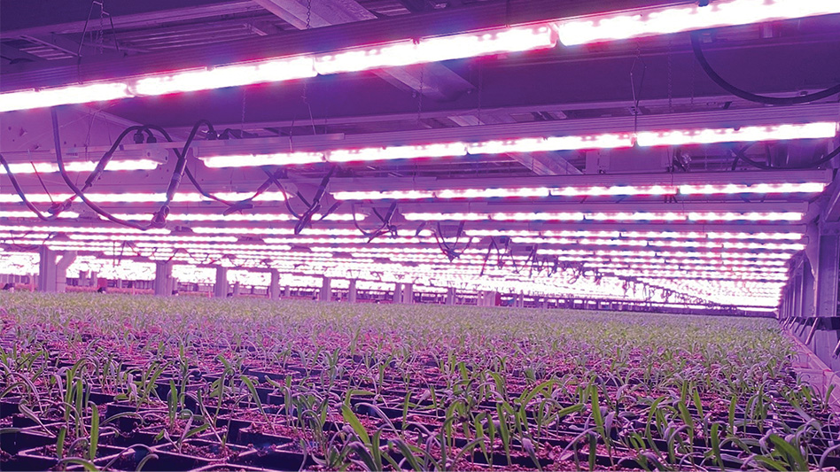 Lighting: The design phase - Produce Grower